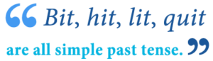 Bit or Bitten – What’s the Difference? - Writing Explained