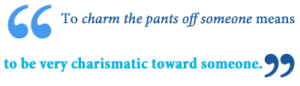 What Does Charm the Pants Off Mean? - Writing Explained
