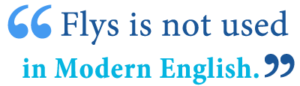 Flys or Flies – What’s the Difference? - Writing Explained