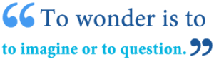 Wonder vs. Wander: What is the Difference? - Writing Explained