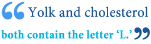 Yoke vs. Yolk: What’s the Difference? - Writing Explained
