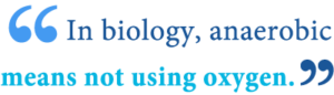 Aerobic vs. Anaerobic – What’s the Difference? - Writing Explained