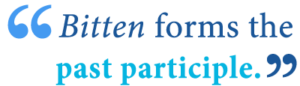 Bit or Bitten – What’s the Difference? - Writing Explained