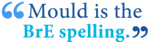 Mold vs. Mould: What’s the Difference? - Writing Explained