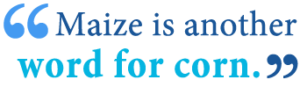 Maize vs. Maze: What’s the Difference? - Writing Explained
