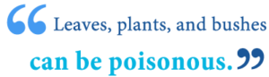 Venomous vs. Poisonous – What’s the Difference? - Writing Explained