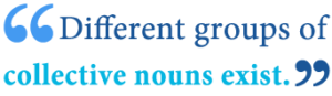 What is a Collective Noun? Definition, Examples of Collective Nouns ...