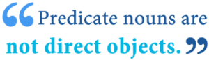 What is a Predicate Noun? Definition, Examples of Predicate Nouns ...