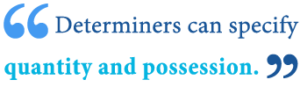 What is a Determiner? Definition, Examples of Grammatical Determiners ...