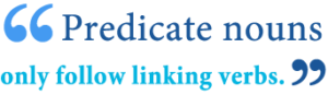 What is a Predicate Noun? Definition, Examples of Predicate Nouns ...