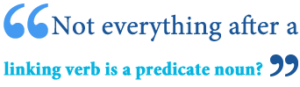 What is a Predicate Noun? Definition, Examples of Predicate Nouns ...