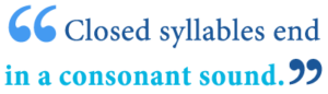 What is a Syllable? Definition, Examples of English Syllables - Writing ...