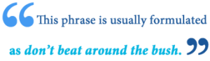 What Does Beating Around the Bush Mean? - Writing Explained