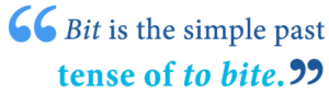 Bit or Bitten – What’s the Difference? - Writing Explained