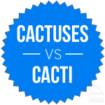 Cactuses or Cacti – Which is Correct? - Writing Explained
