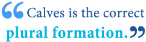 Calfs or Calves: What’s the Difference? - Writing Explained