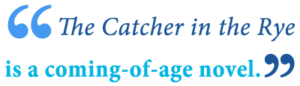The Catcher in the Rye Summary and Analysis - Writing Explained
