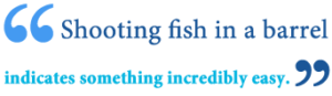 What Does Shooting Fish in a Barrel Mean? - Writing Explained