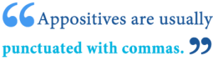 What is an Appositive? Definition, Examples of Appositive Phrases ...