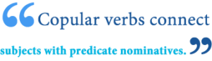 What is a Copular Verb? Definition, Examples of Copular Verbs - Writing ...