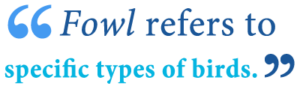 Foul or Fowl – What’s the Difference? - Writing Explained