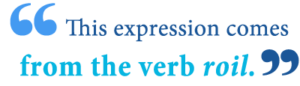 What Does All Riled Up Mean? - Writing Explained
