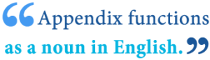 What is the Abbreviation for Appendix? - Writing Explained