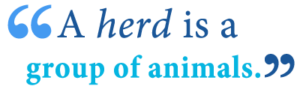 Heard or Herd – What’s the Difference? - Writing Explained