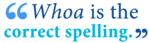 Whoa or Woah: What’s the Difference? - Writing Explained