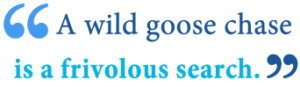 What Does Wild Goose Chase Mean? - Writing Explained
