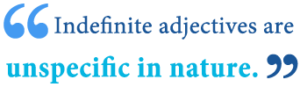 What is an Indefinite Adjective? Definition, Examples of Indefinite ...