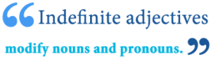 What is an Indefinite Adjective? Definition, Examples of Indefinite ...