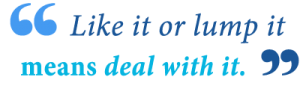 What Does Like it or Lump it Mean? - Writing Explained