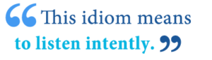 What Does All Ears Mean? - Writing Explained