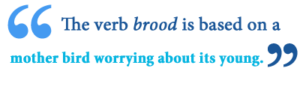 What Does Brood About Something Mean? - Writing Explained