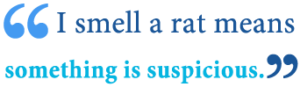 What Does I Smell A Rat Mean? - Writing Explained