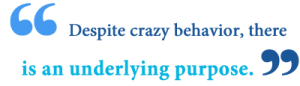 What Does A Method to the Madness Mean? - Writing Explained
