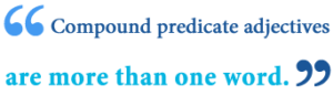What is a Predicate Adjective? Definition, Examples of Predicate ...