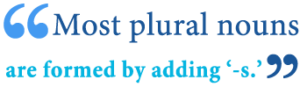 What is a Singular Noun? Definition, Examples of the Singular Form ...