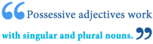 What is a Singular Noun? Definition, Examples of the Singular Form ...