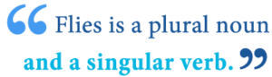 Flys or Flies – What’s the Difference? - Writing Explained