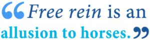 Free Rein or Free Reign: What’s the Difference?