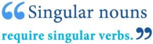 What is a Singular Noun? Definition, Examples of the Singular Form ...